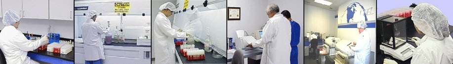 Trace Elements... Hair Tissue Mineral Analysis (Hair Mineral Analysis ...